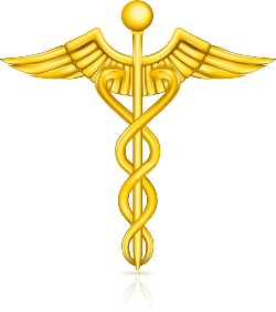 MedicsPremier - Patient Portal